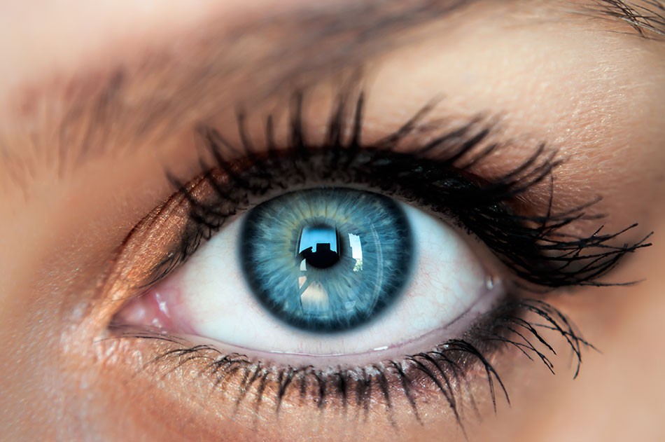 Colored Contact Lenses